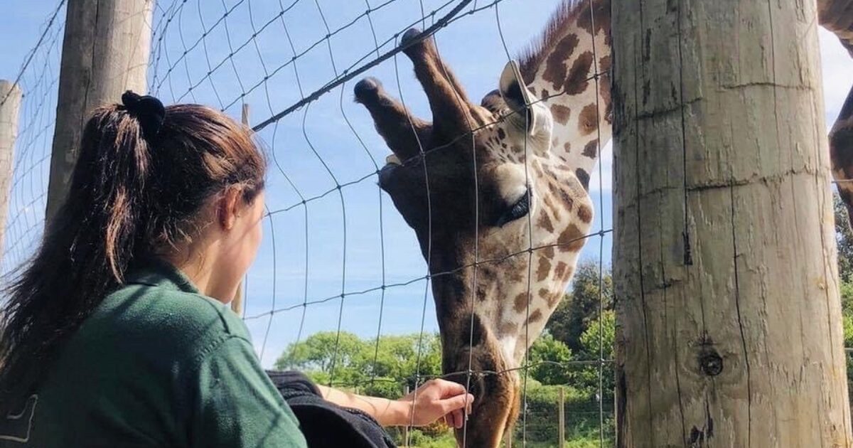 Leanne Kinsella - Level 3 Animal Welfare Alumni | Moulton College