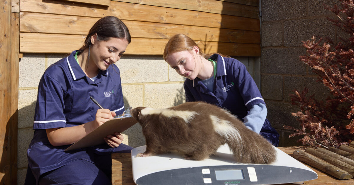 Animal Behavioural Science & Welfare | Moulton College