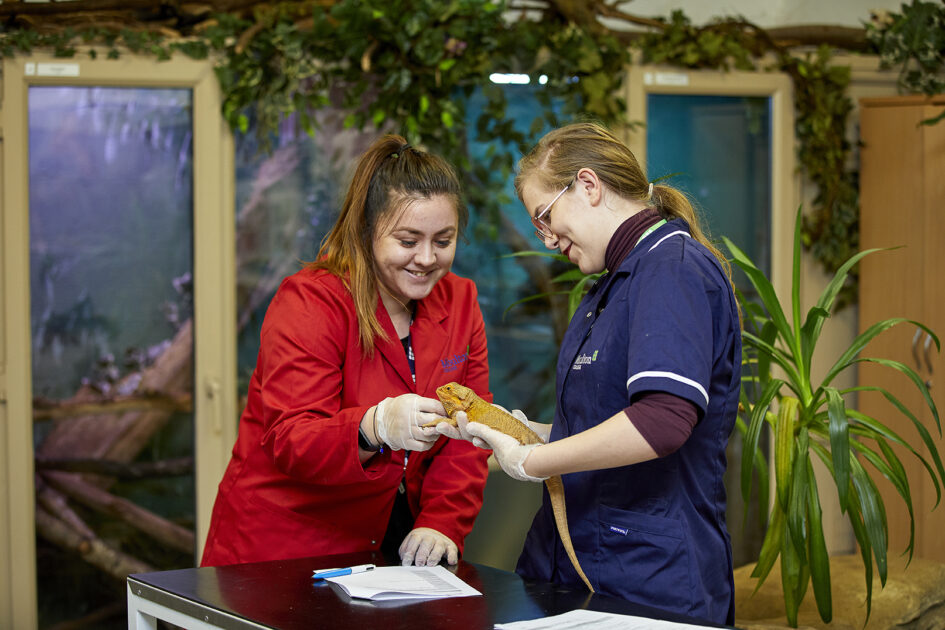 Animal Welfare & Zoology | Higher Education