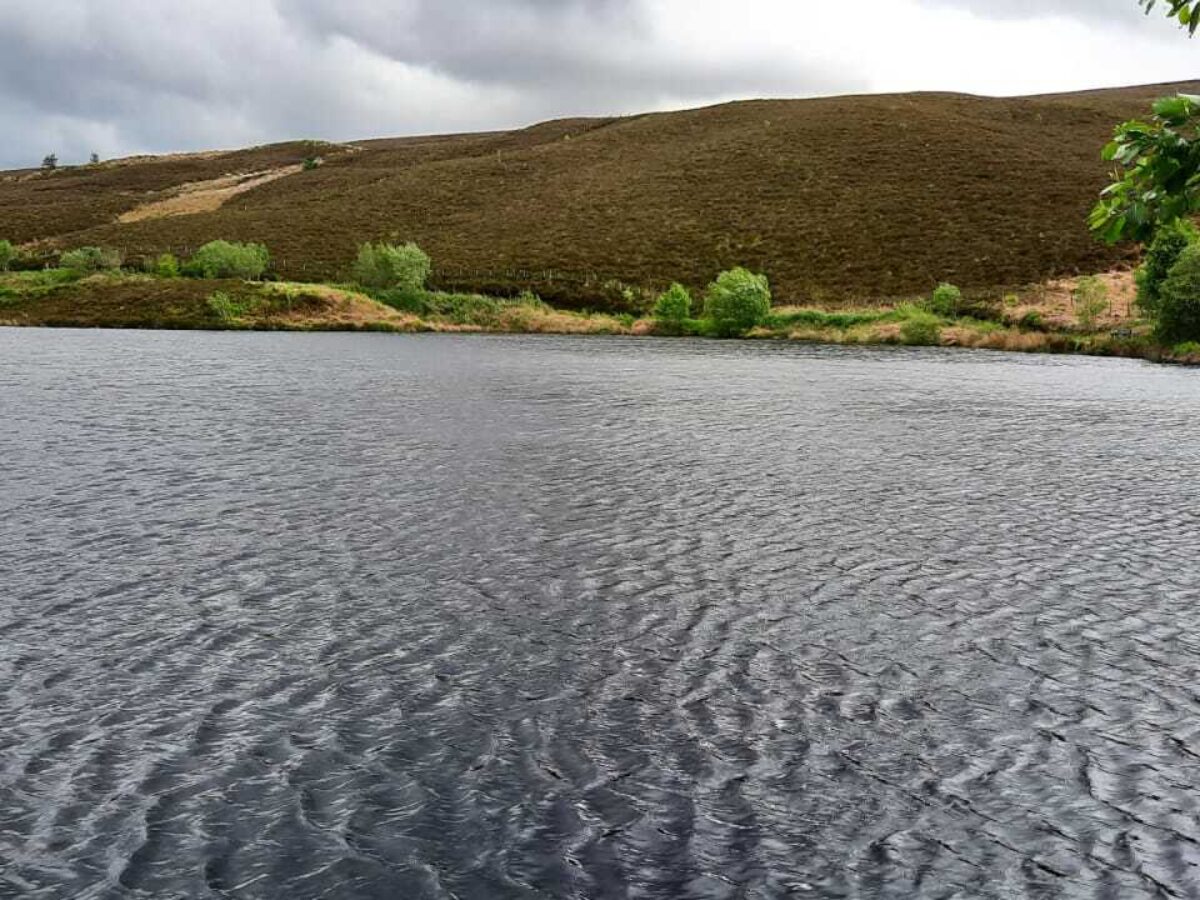 Countryside Management - Ireland Field Trip | Moulton College