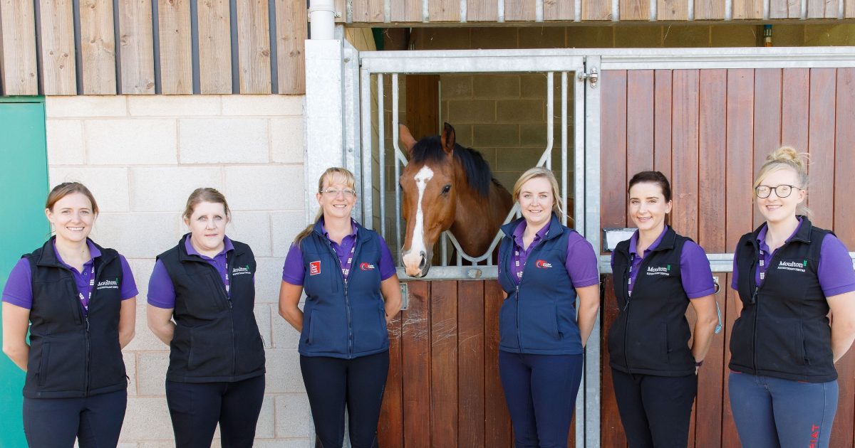 Moulton College | Meet the Team